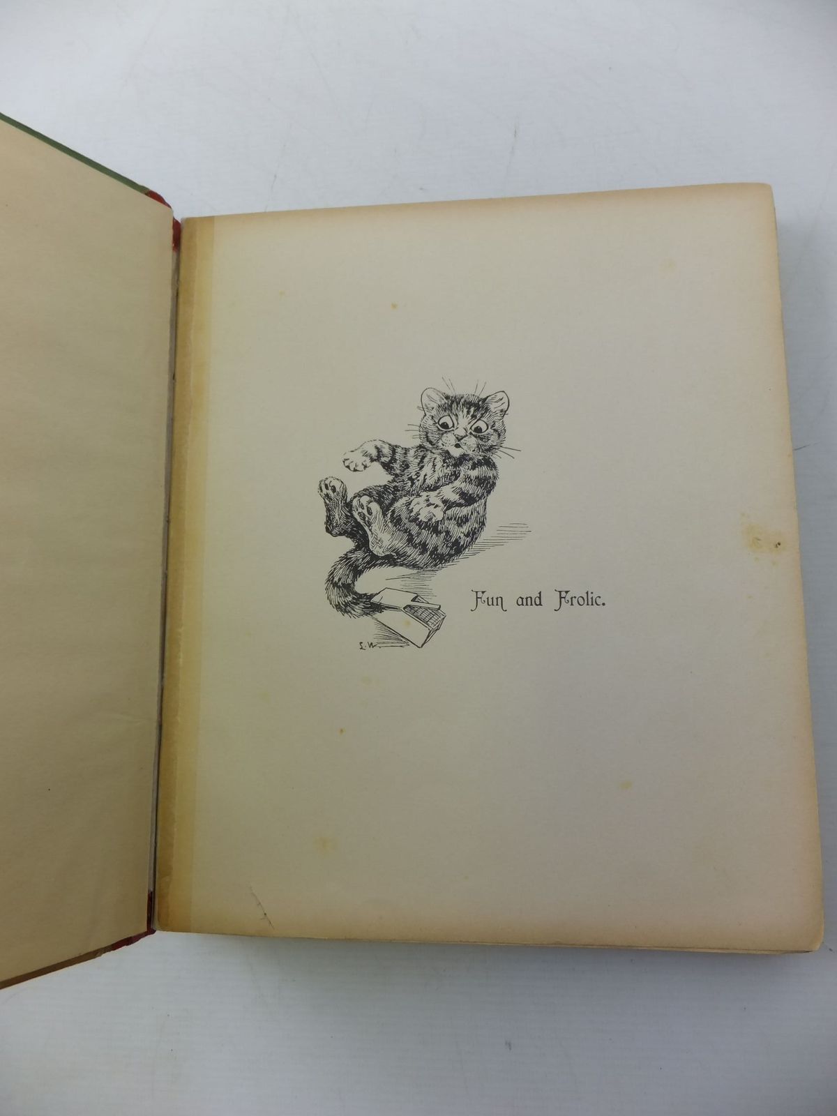 Stella & Rose's Books