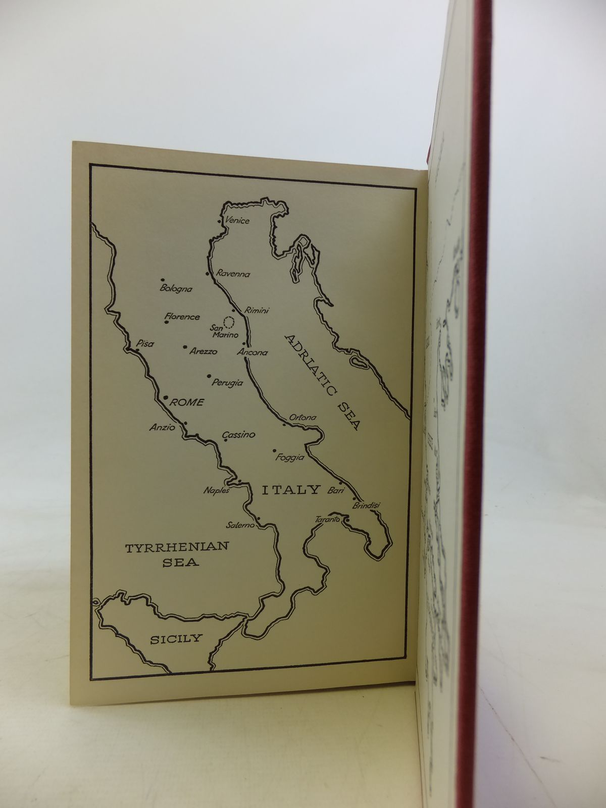 Stella & Rose's Books