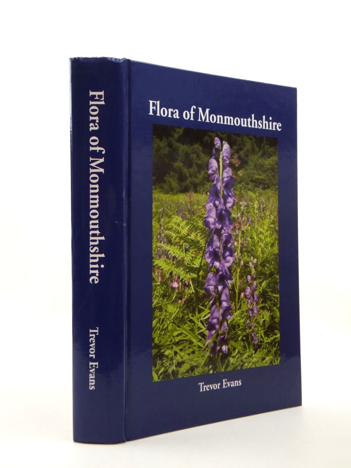 Stella & Rose's Books