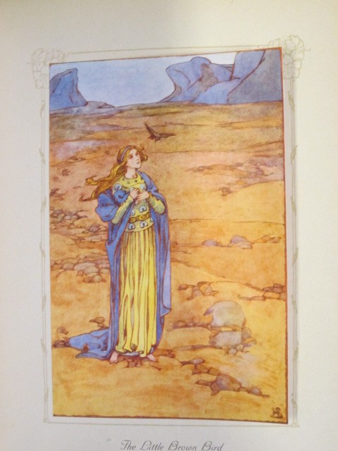 Stella & Rose's Books