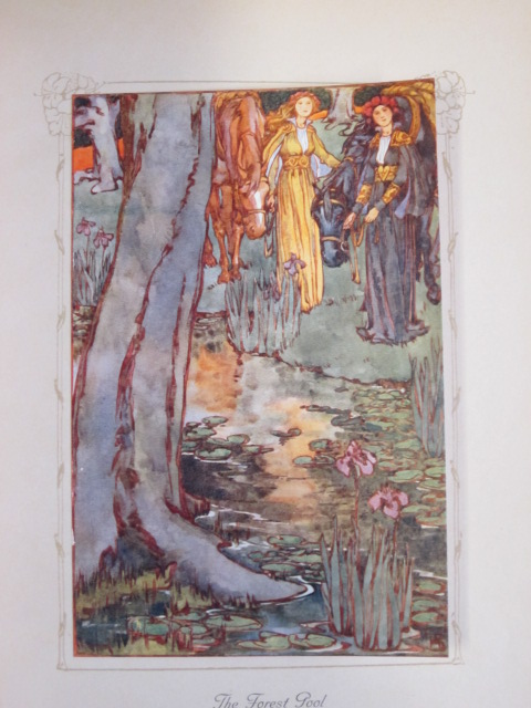 Stella & Rose's Books