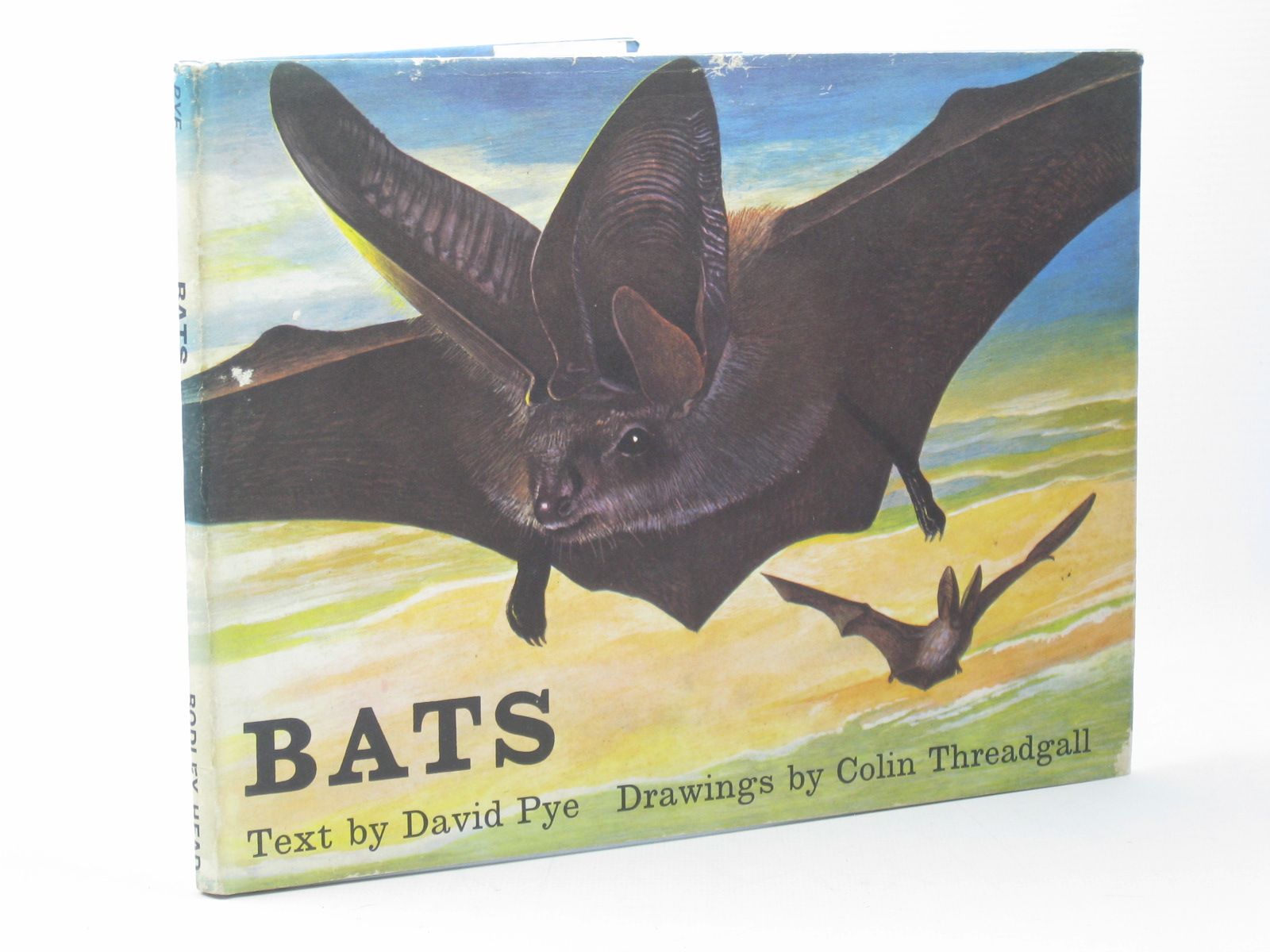 Stella & Rose's Books