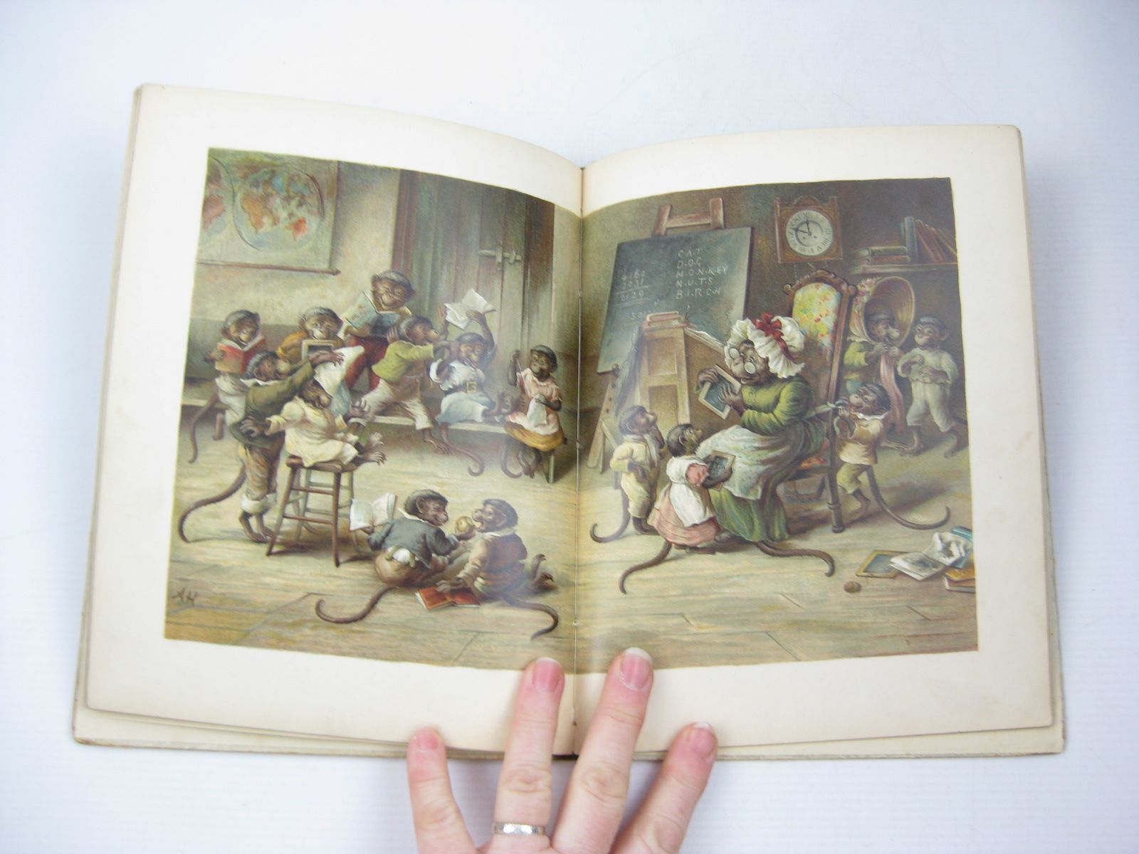 Stella & Rose's Books