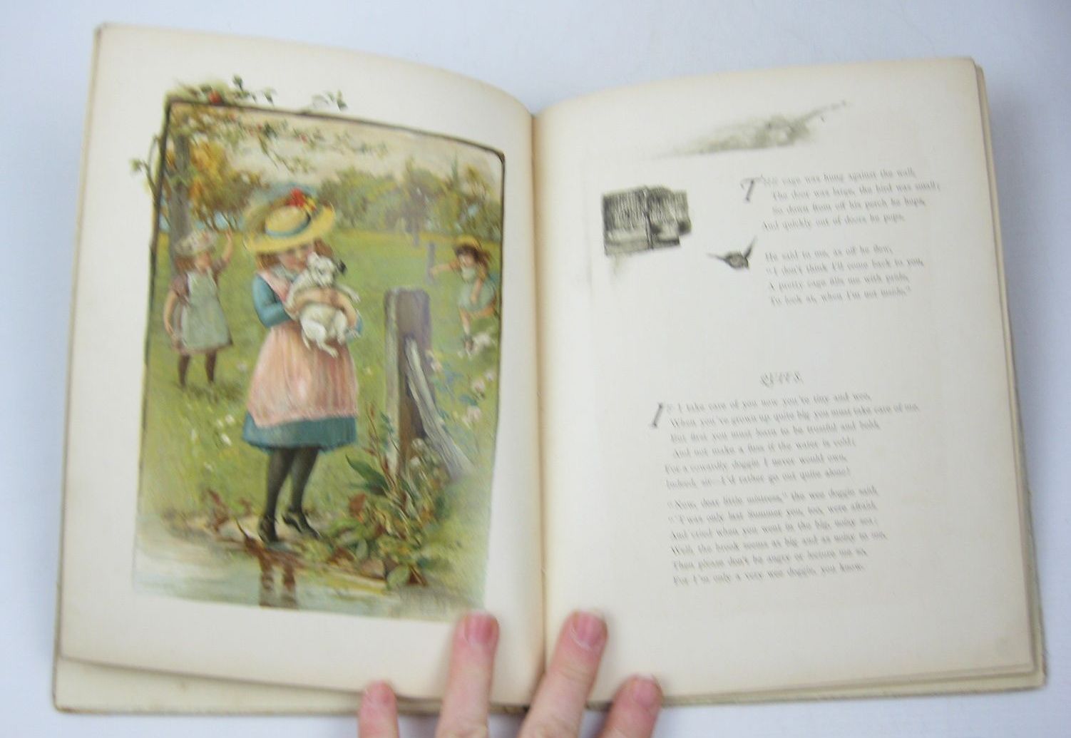 Stella & Rose's Books