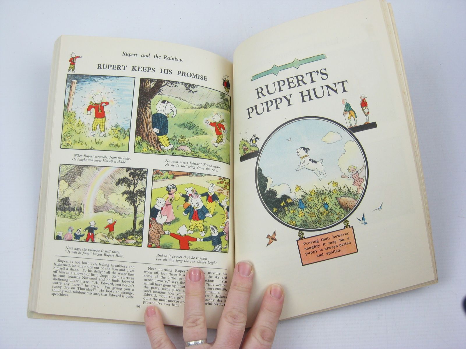 Stella & Rose's Books