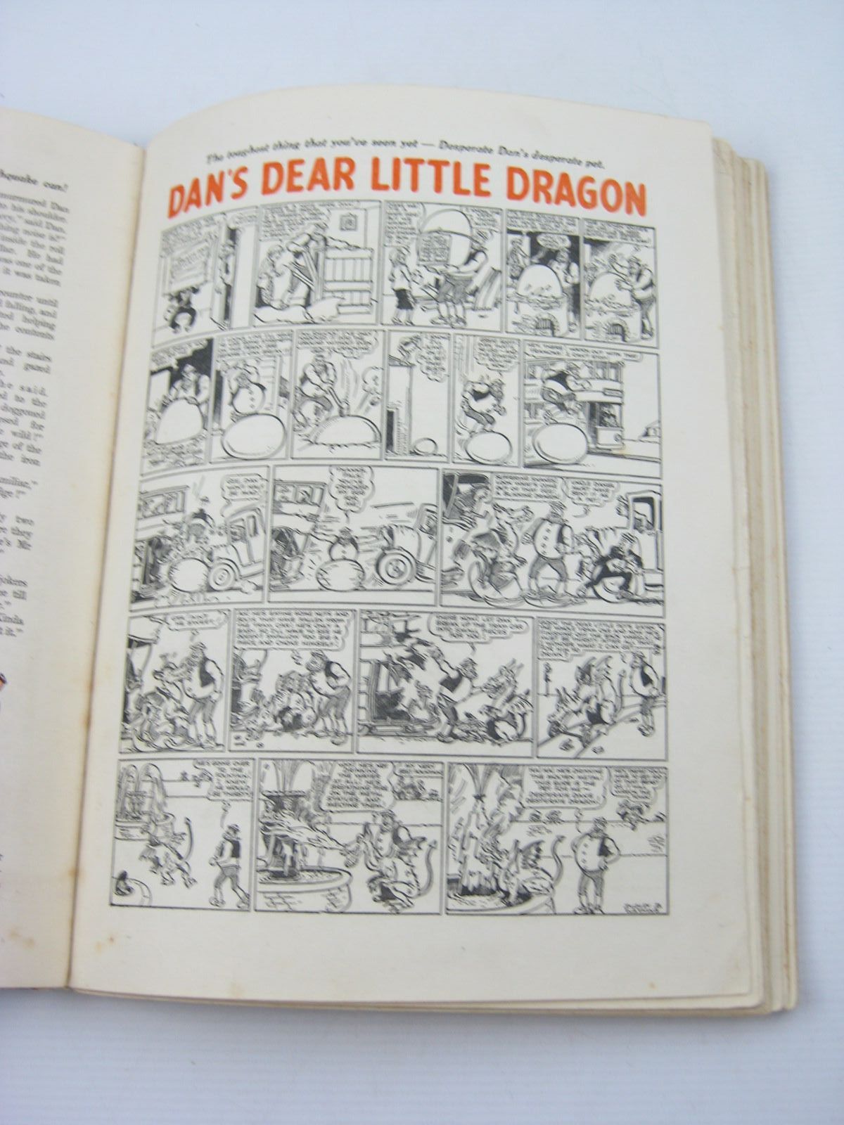 Stella & Rose's Books