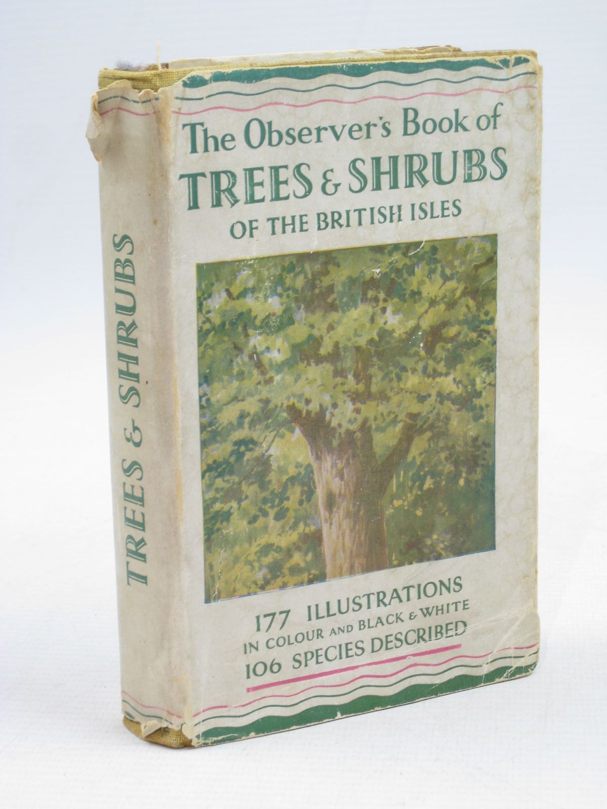 Stella & Rose's Books