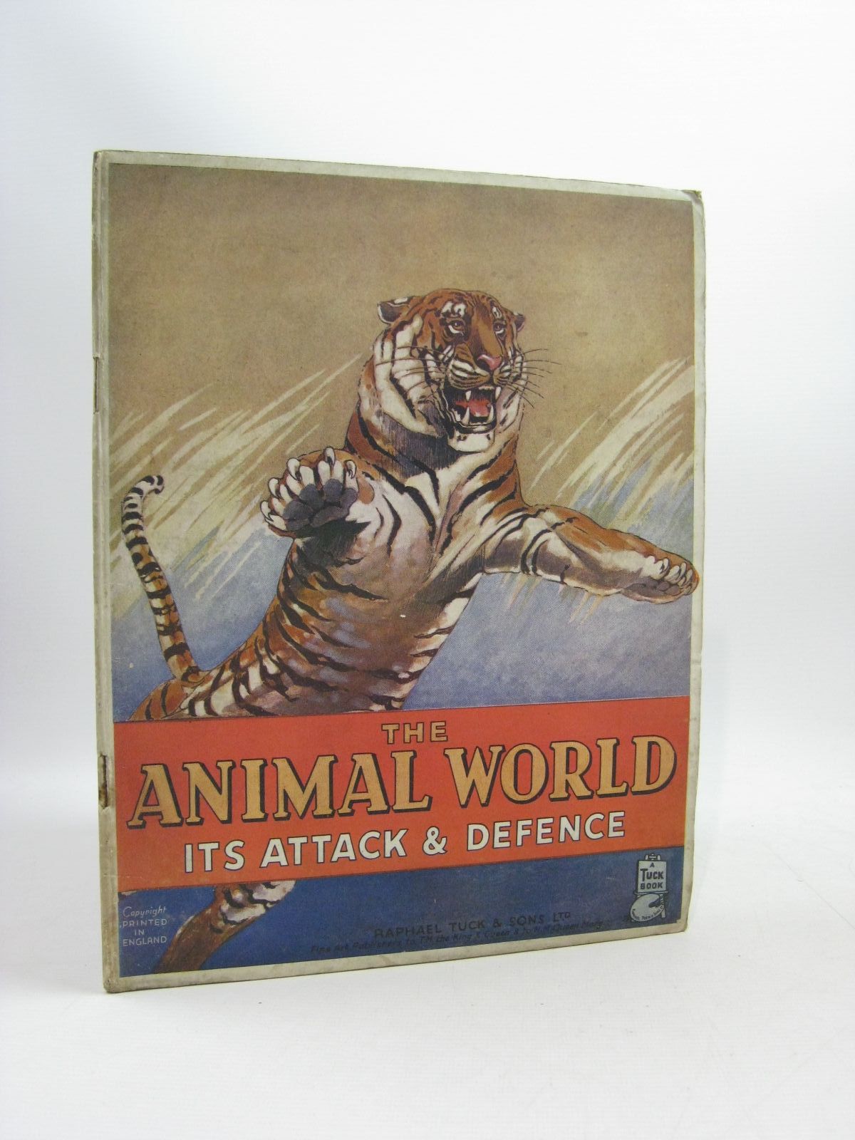 Stella & Rose's Books