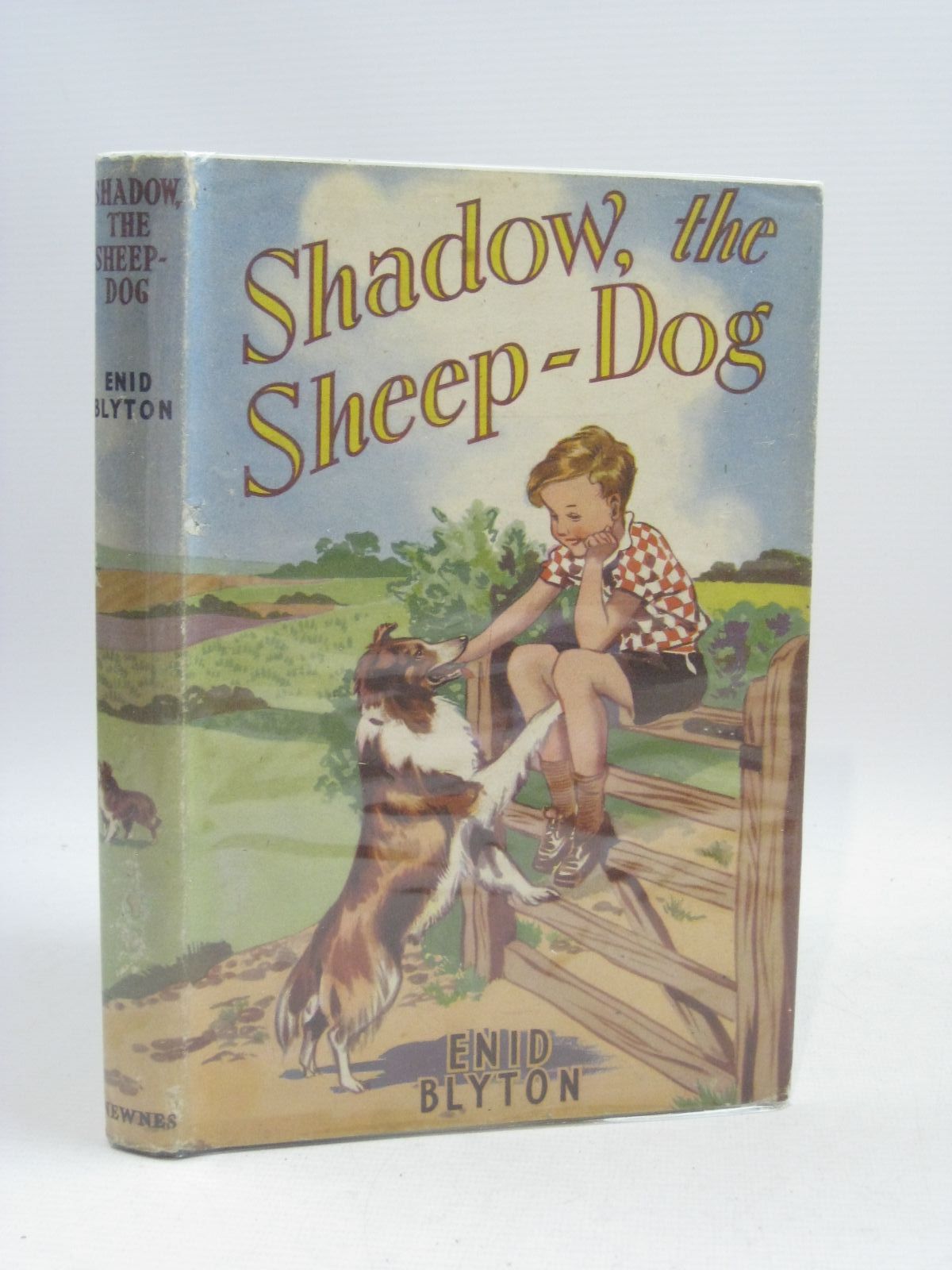 Stella & Rose's Books