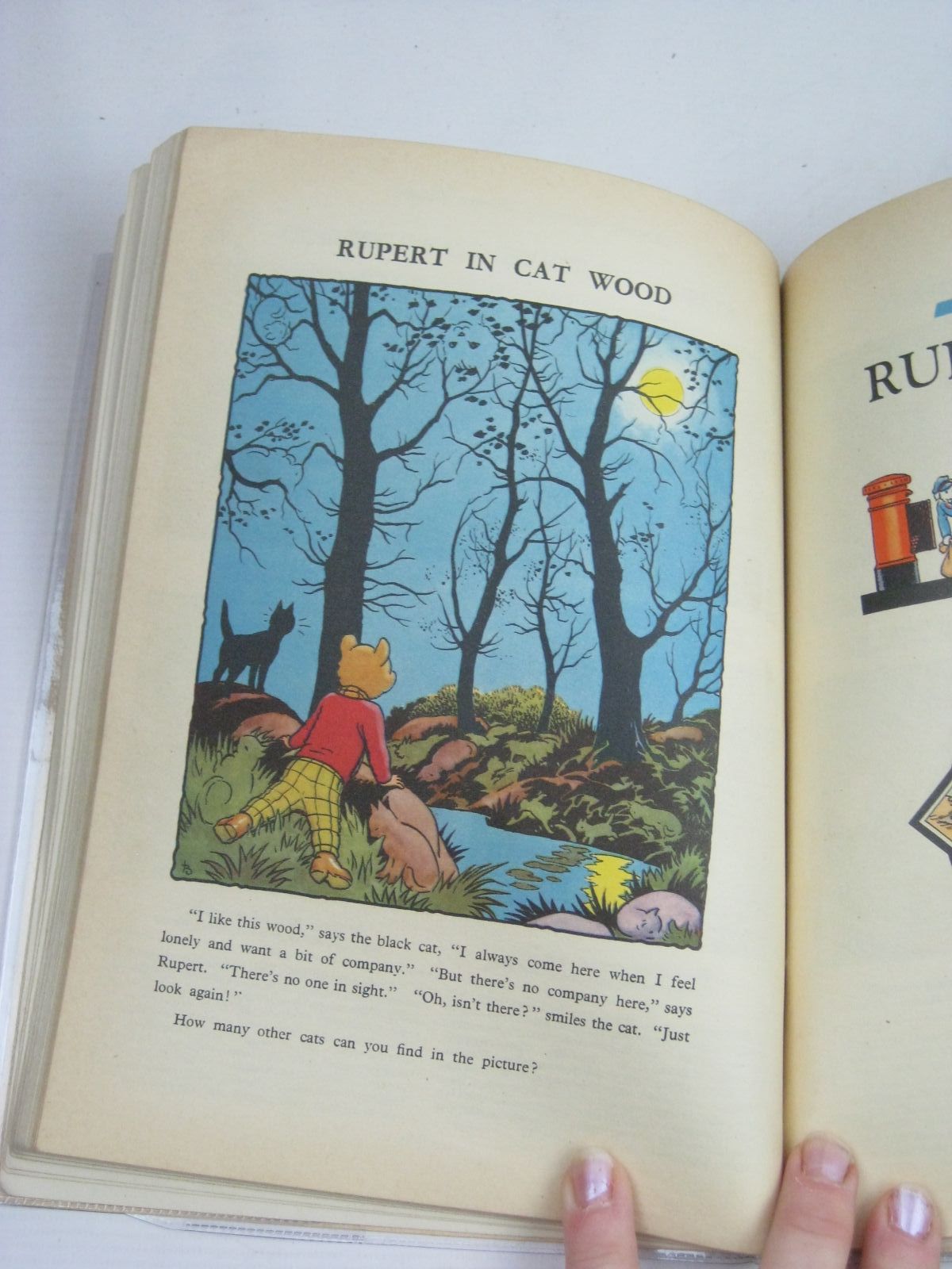 Stella & Rose's Books