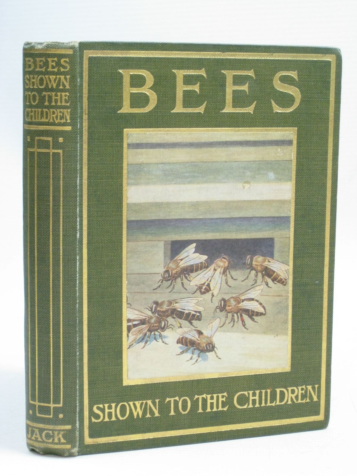 Stella & Rose's Books