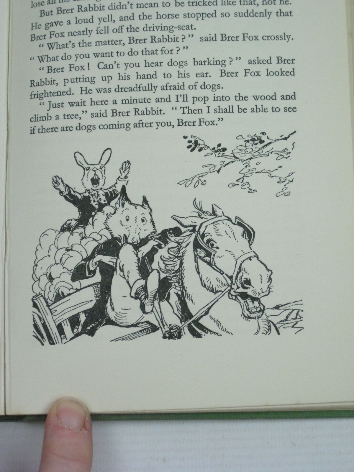 Stella & Rose's Books