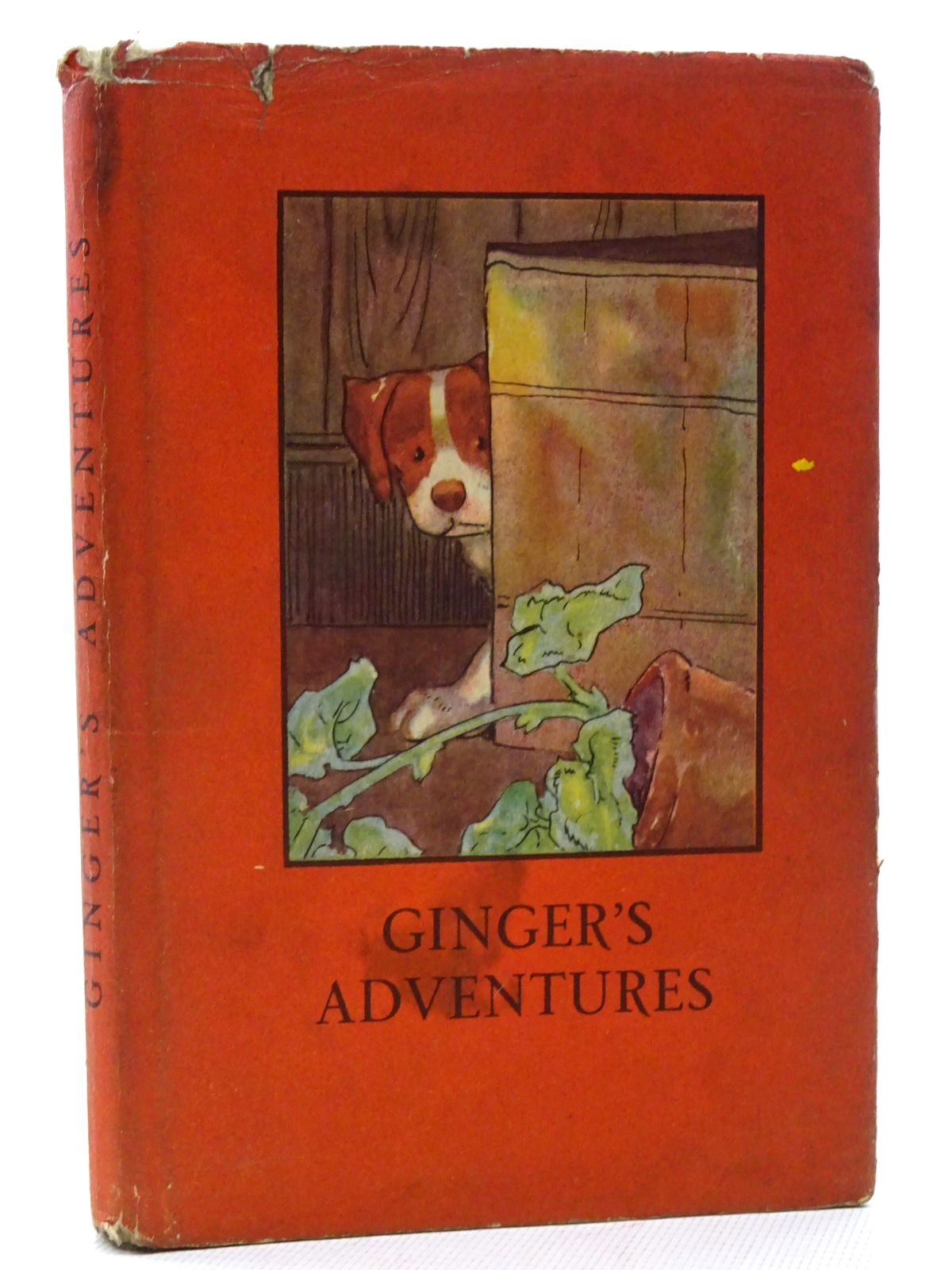 Stella & Rose's Books