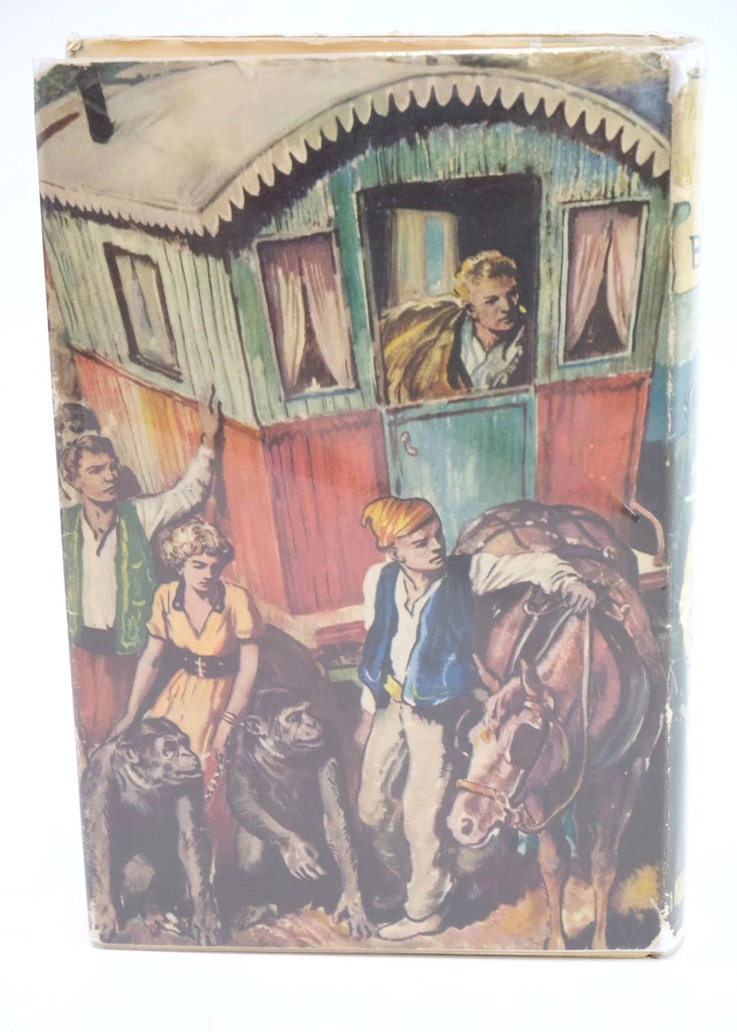 Stella & Rose's Books