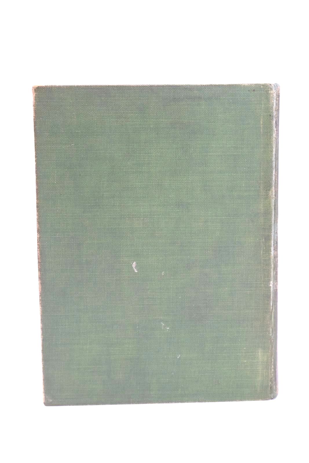 Stella & Rose's Books