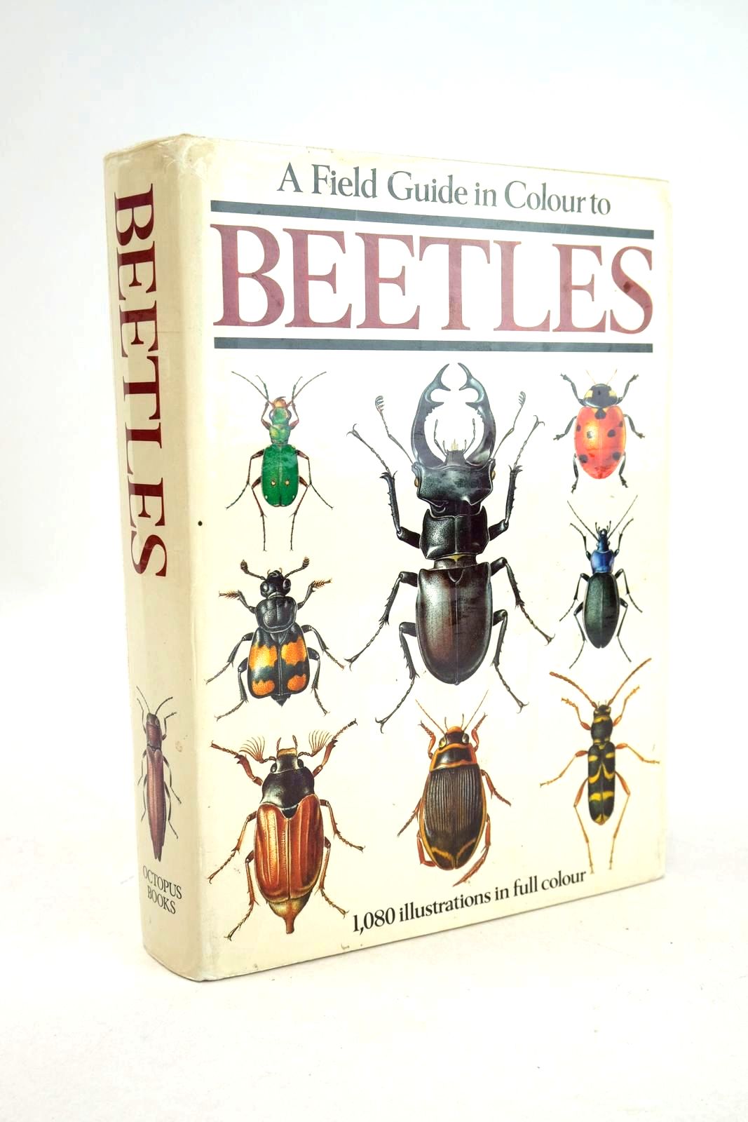 Stella & Rose's Books