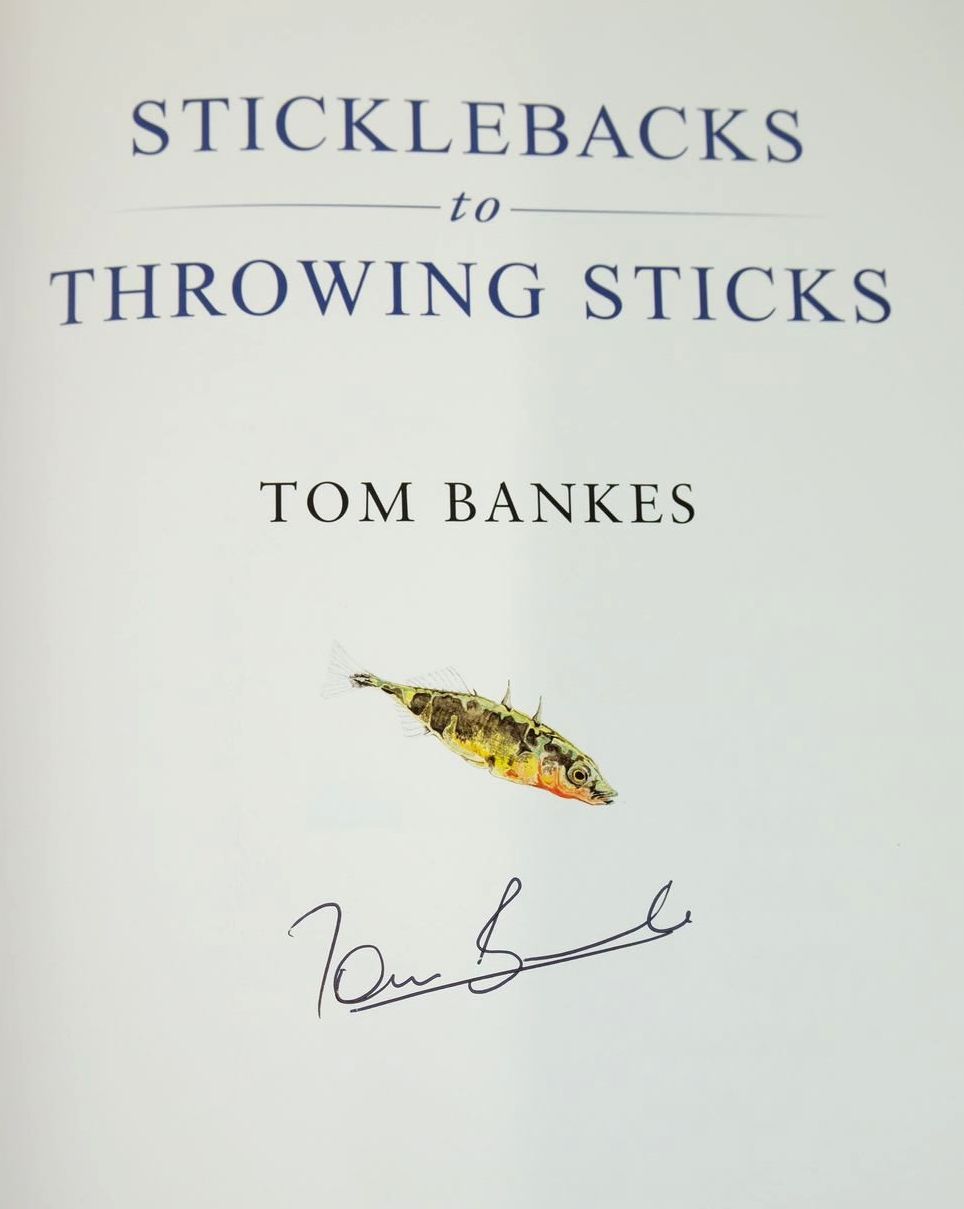 Stella & Rose's Books