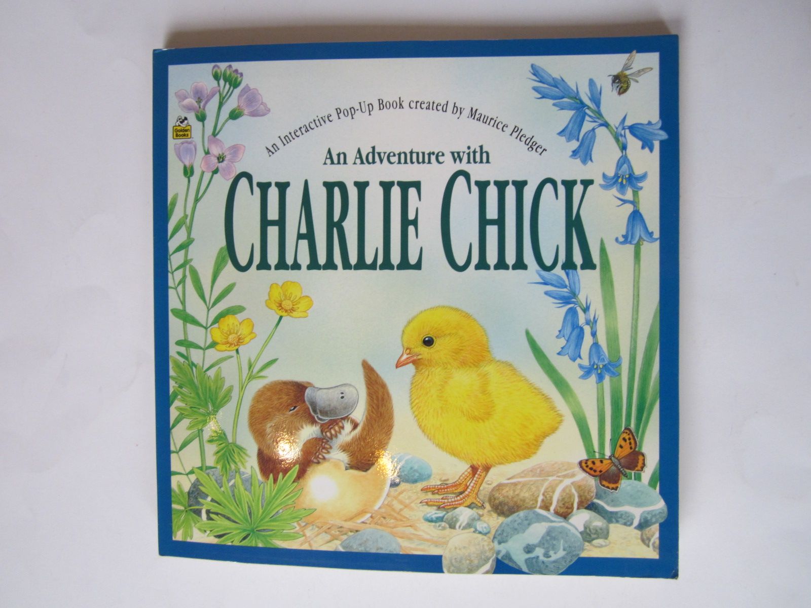 Stella & Rose's Books