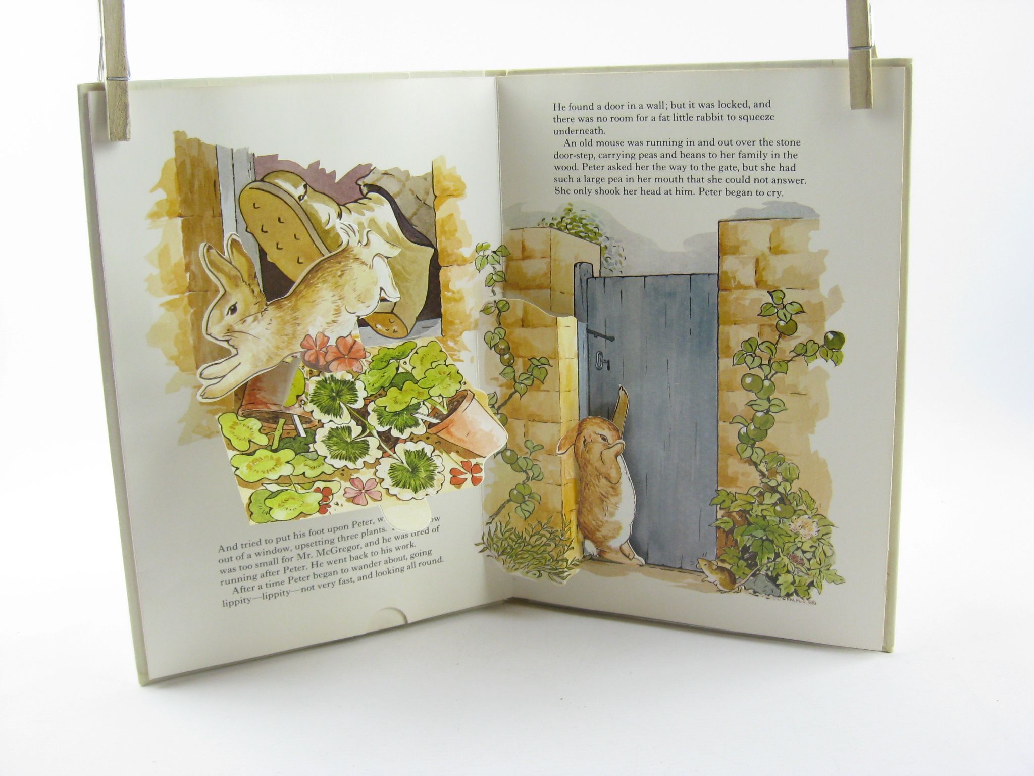 Stella & Rose's Books