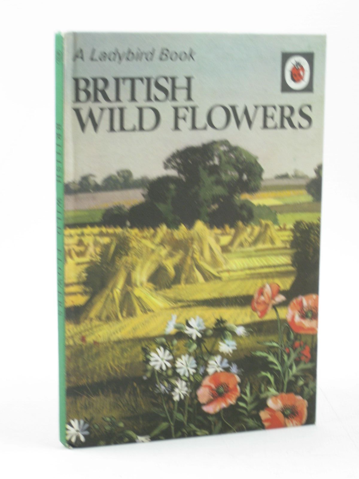 Stella & Rose's Books