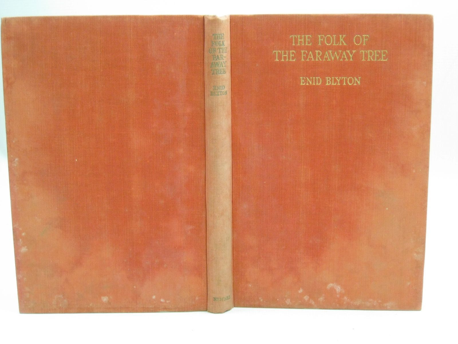 Stella & Rose's Books