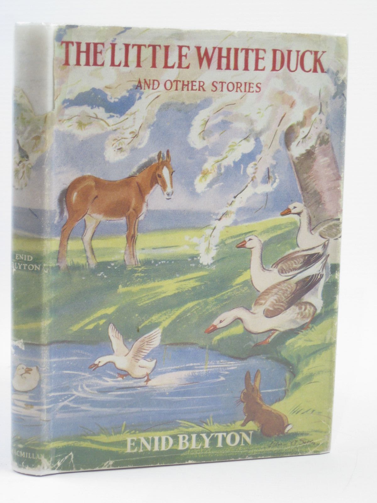 Stella & Rose's Books