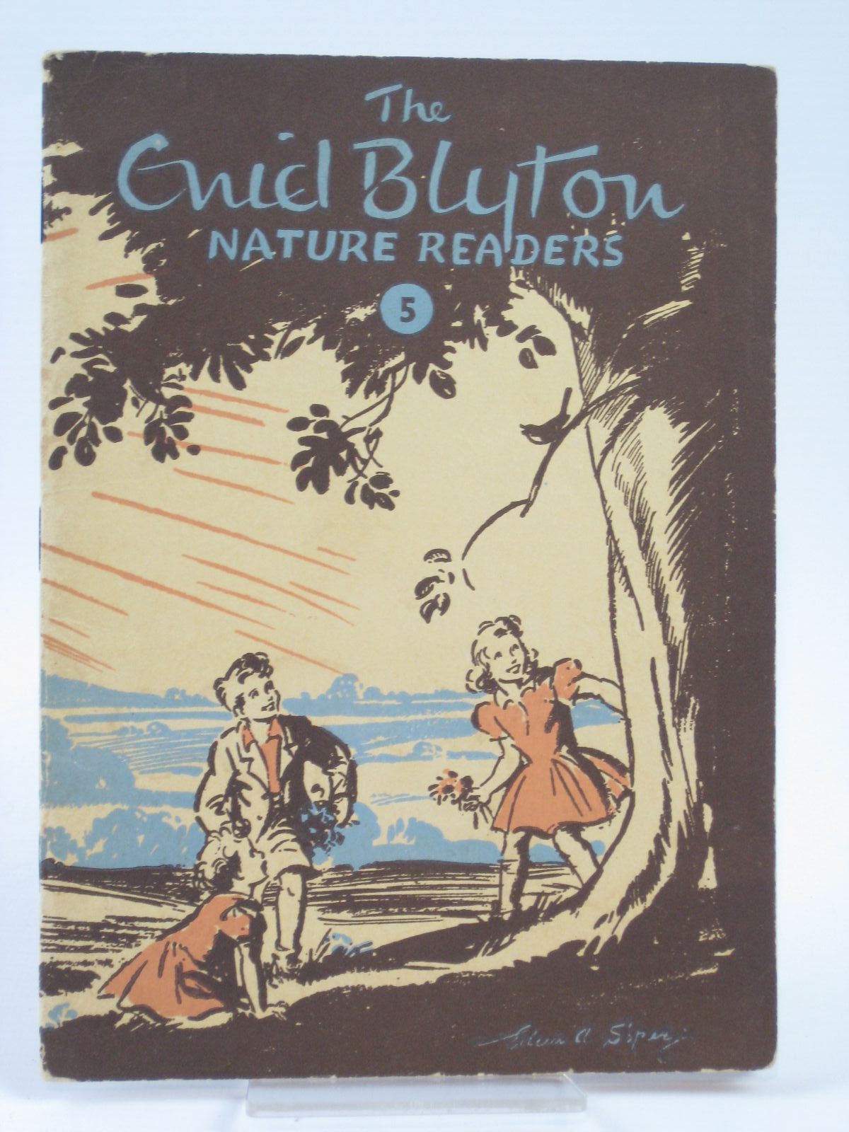 Stella & Rose's Books