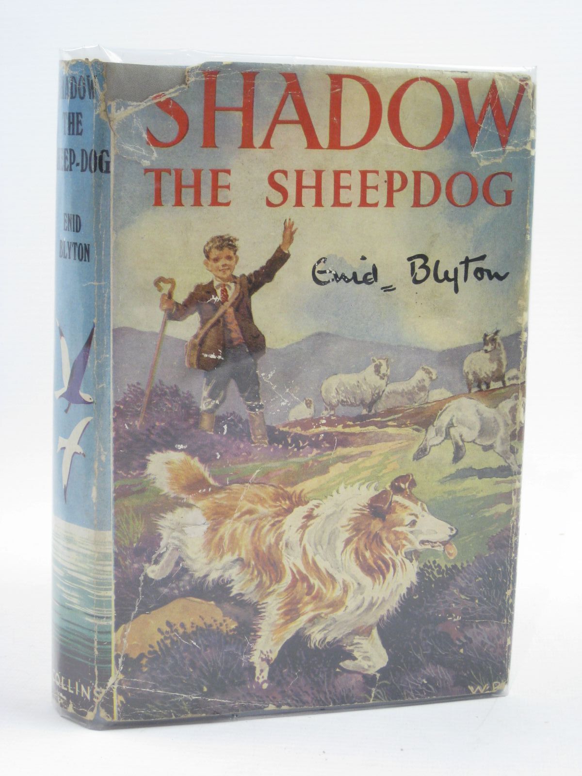 Stella & Rose's Books