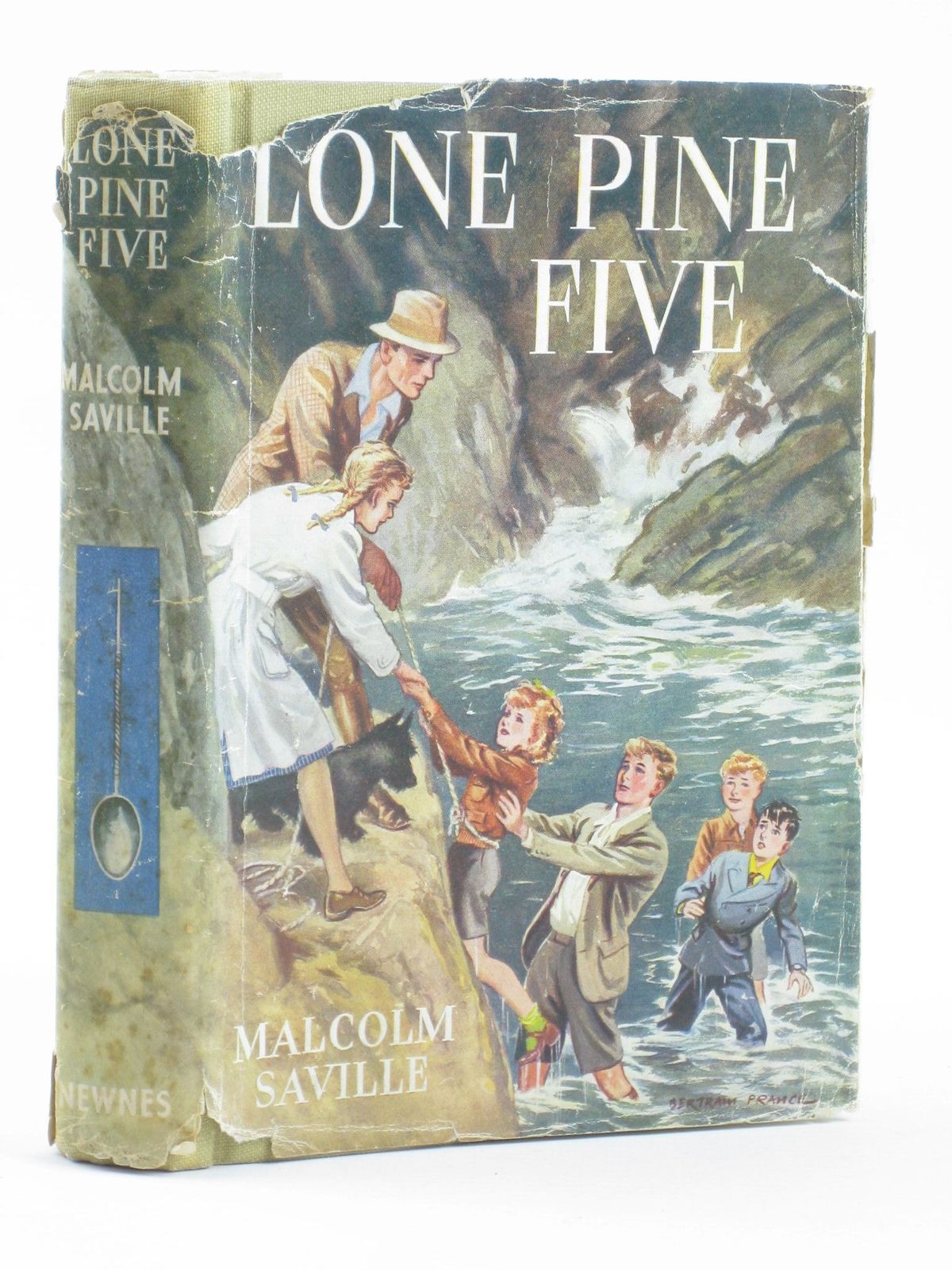 Stella & Rose's Books