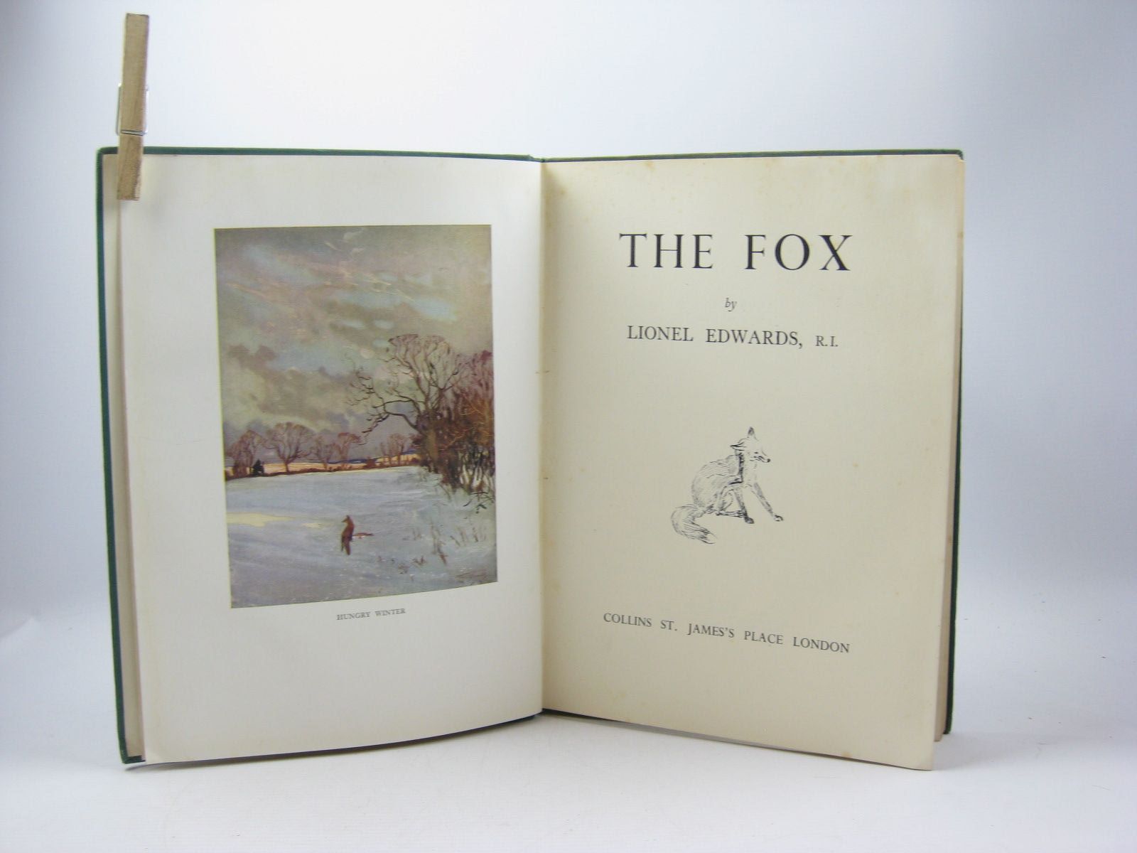 Stella & Rose's Books