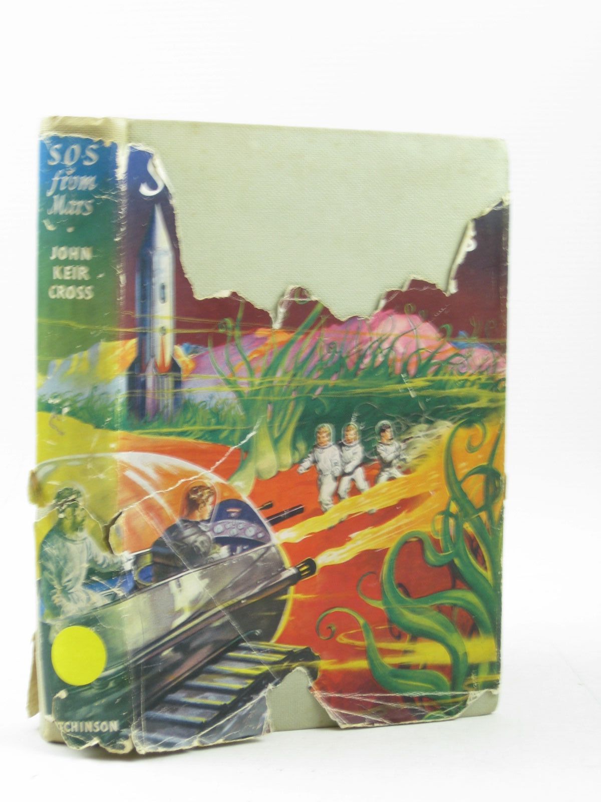 Stella & Rose's Books