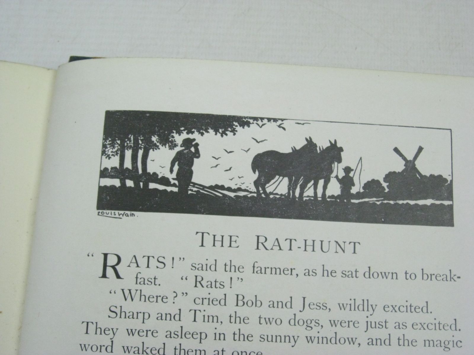 Stella & Rose's Books