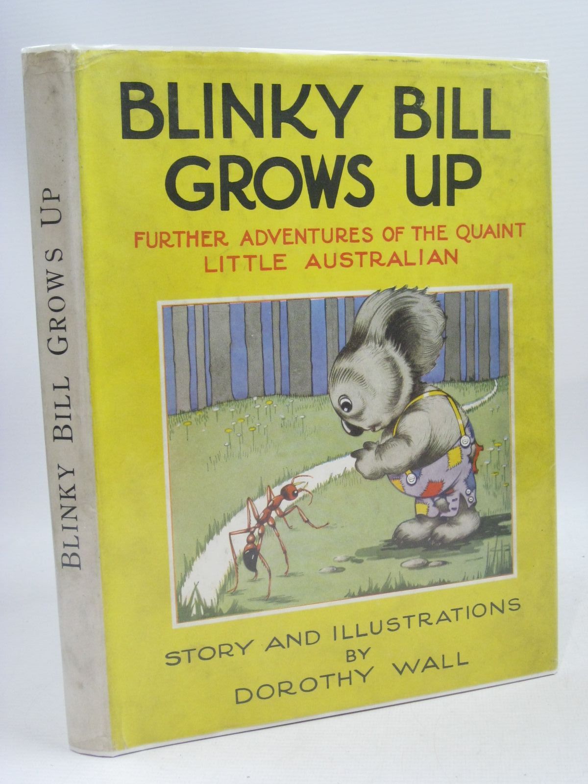 Stella & Rose's Books