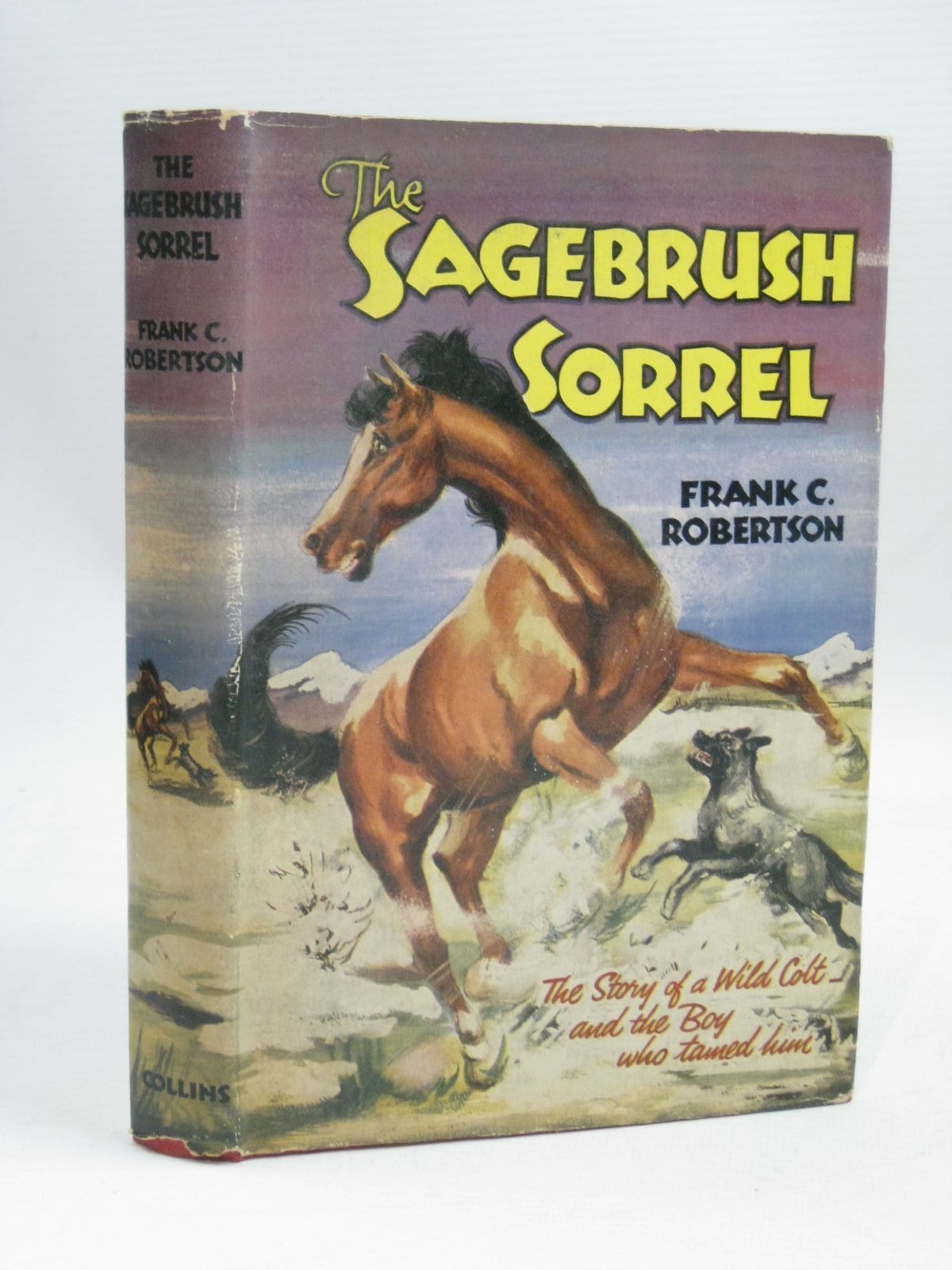 Stella & Rose's Books