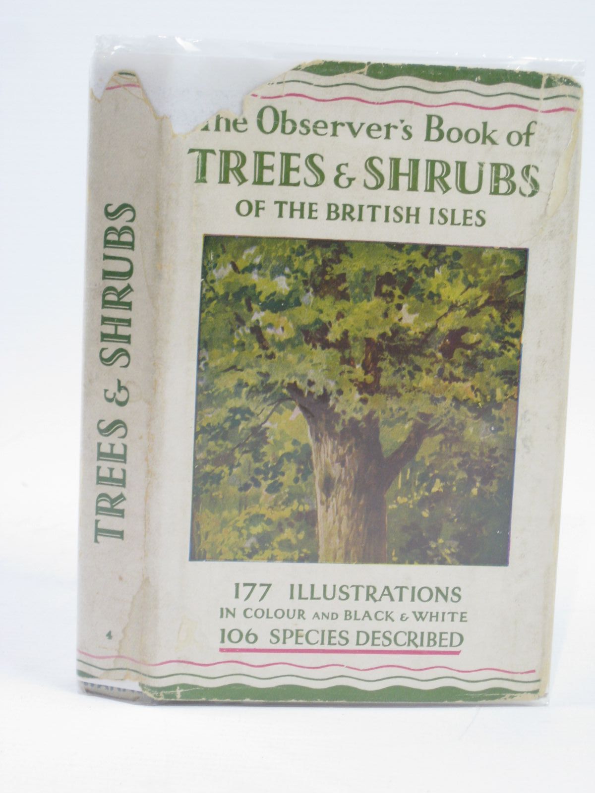 Stella & Rose's Books