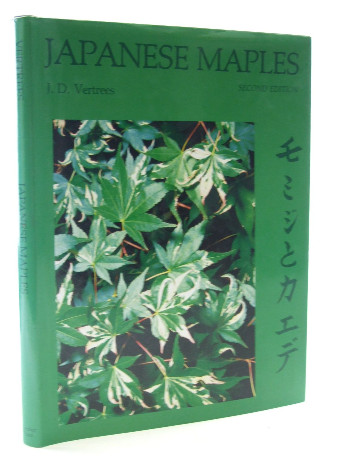 Stella & Rose's Books