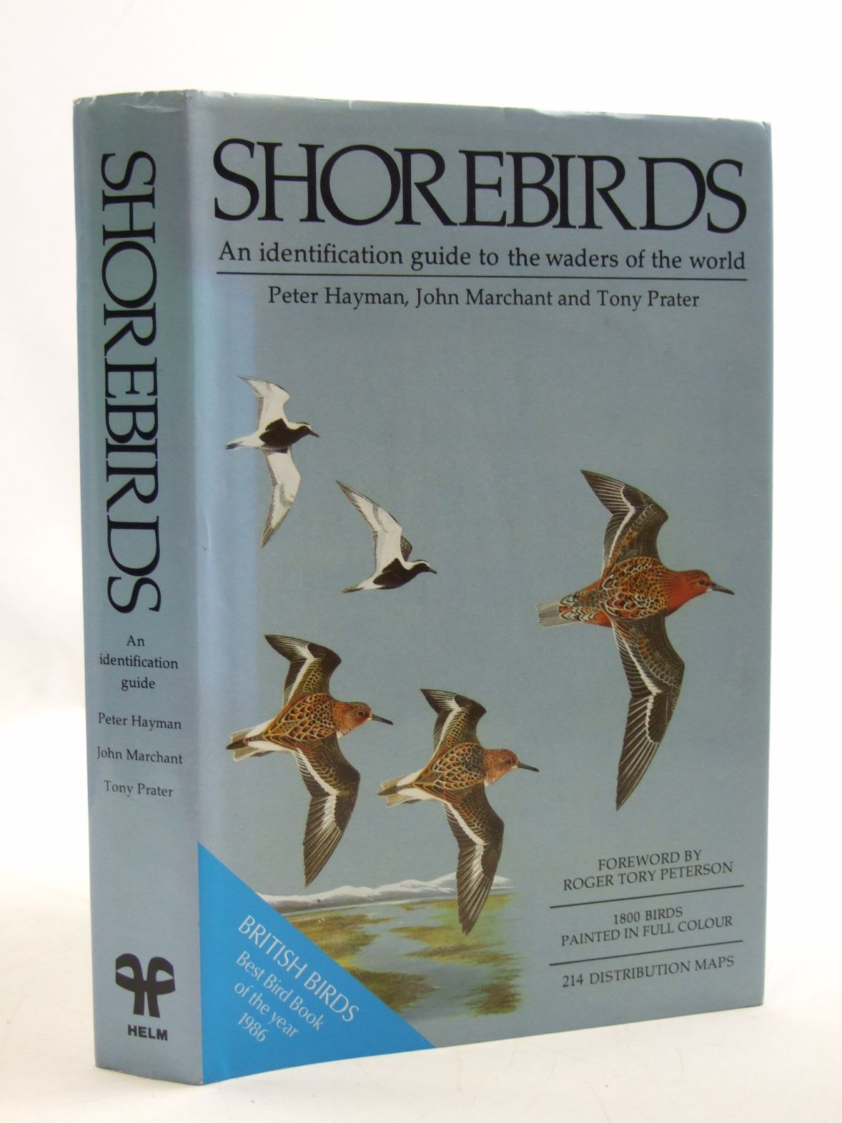 Stella & Rose's Books