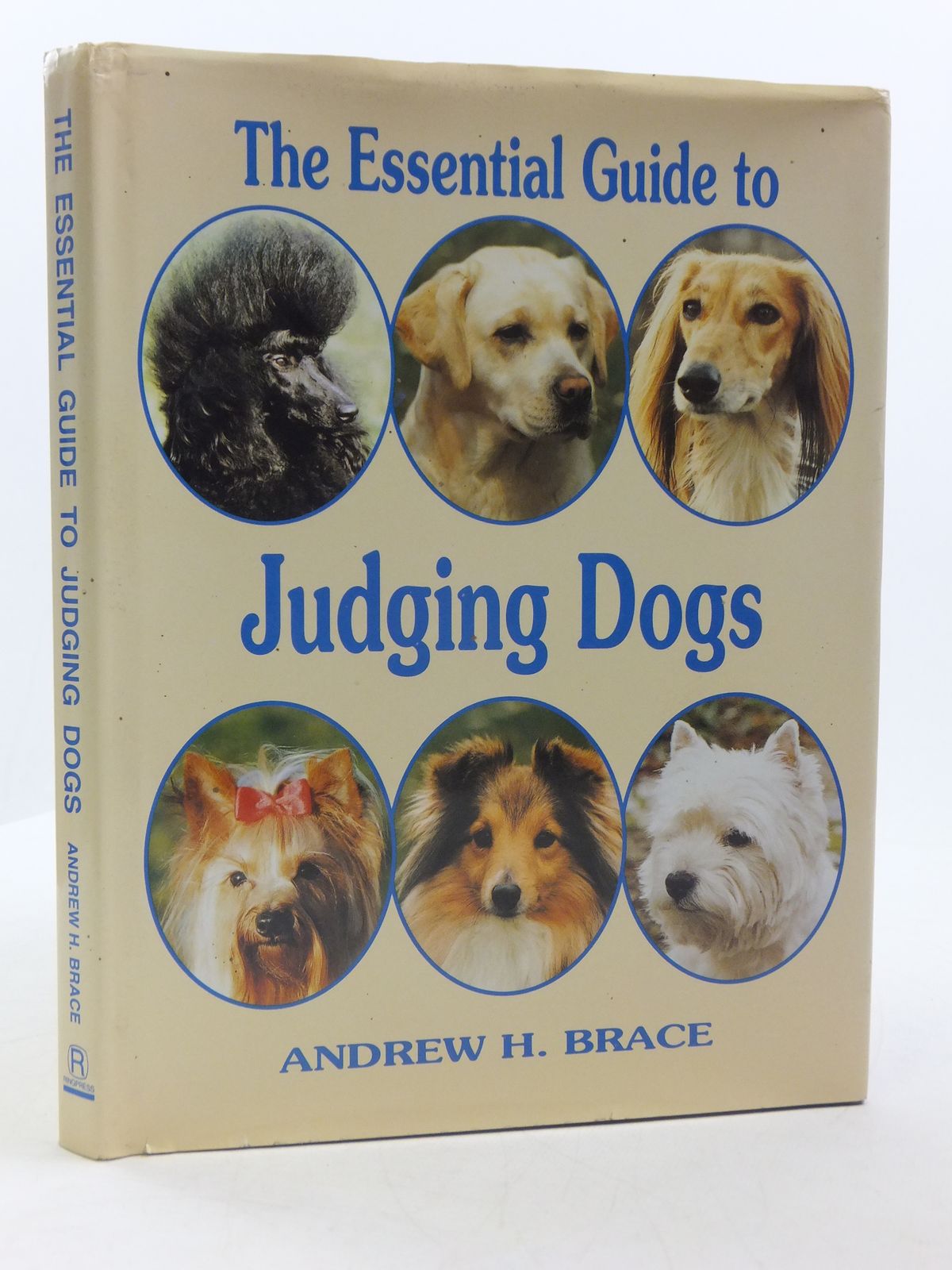 Stella & Rose's Books