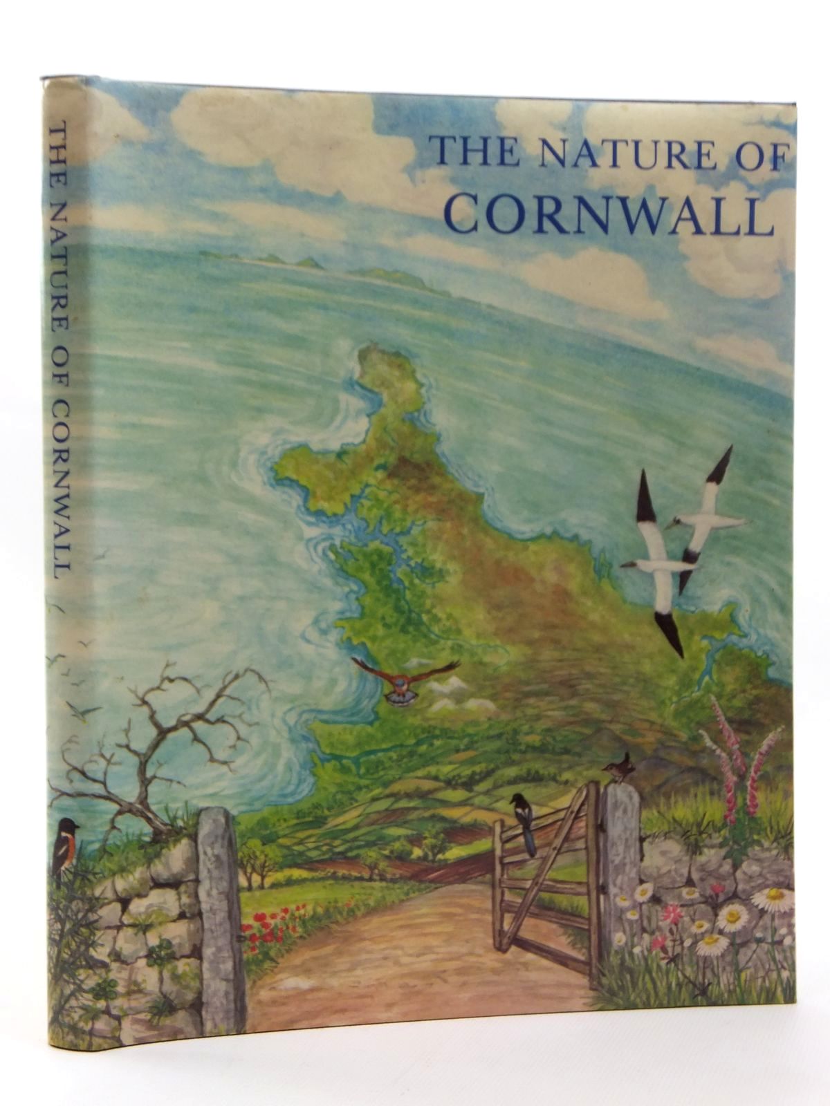 Stella & Rose's Books