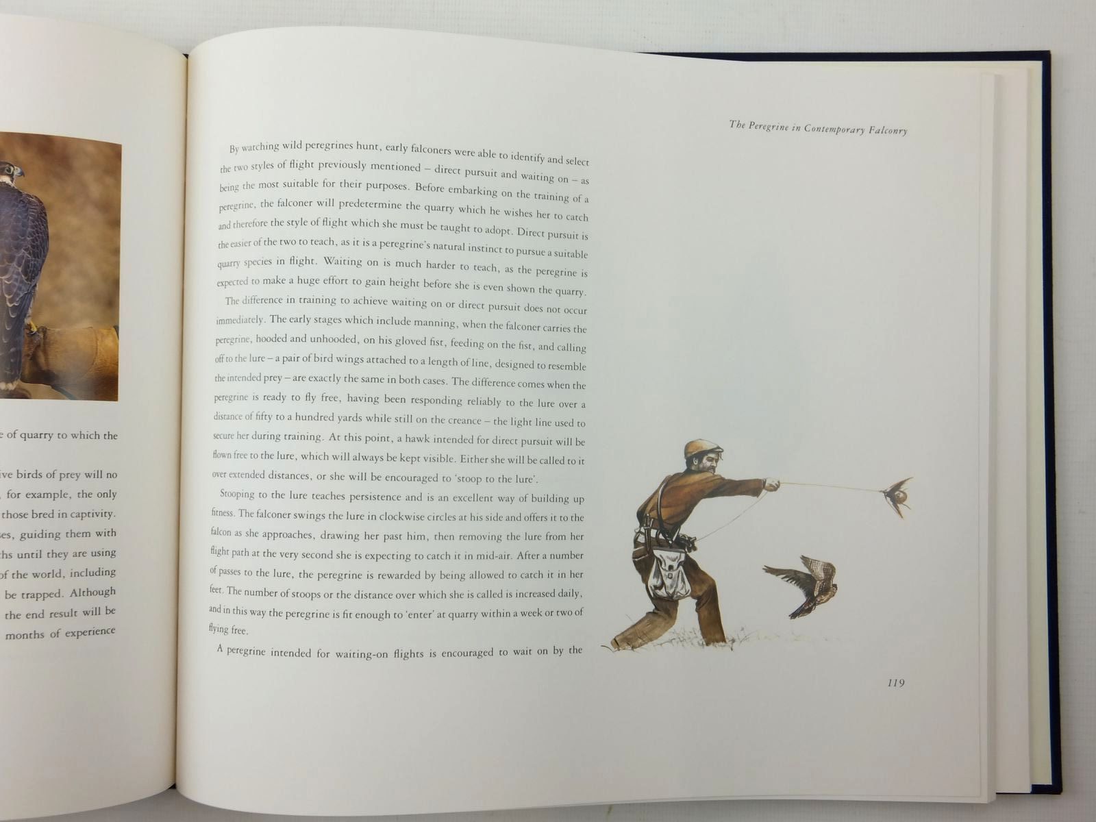 Stella & Rose's Books