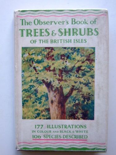 Stella & Rose's Books