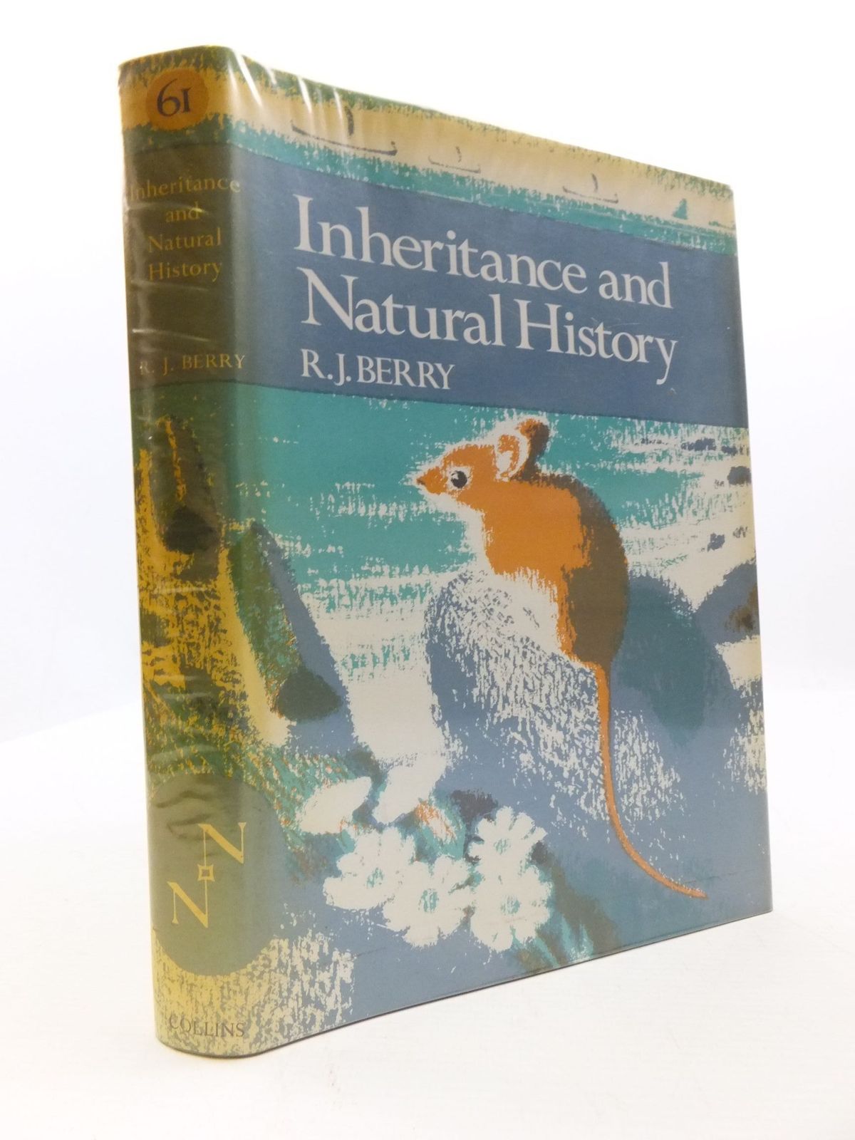 Stella & Rose's Books