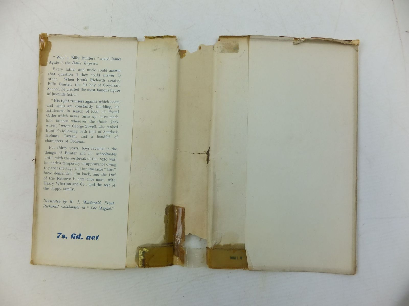 Stella & Rose's Books