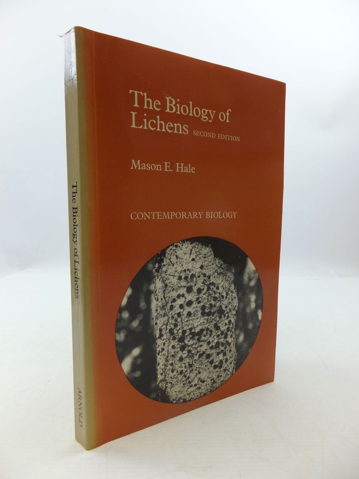 Stella & Rose's Books