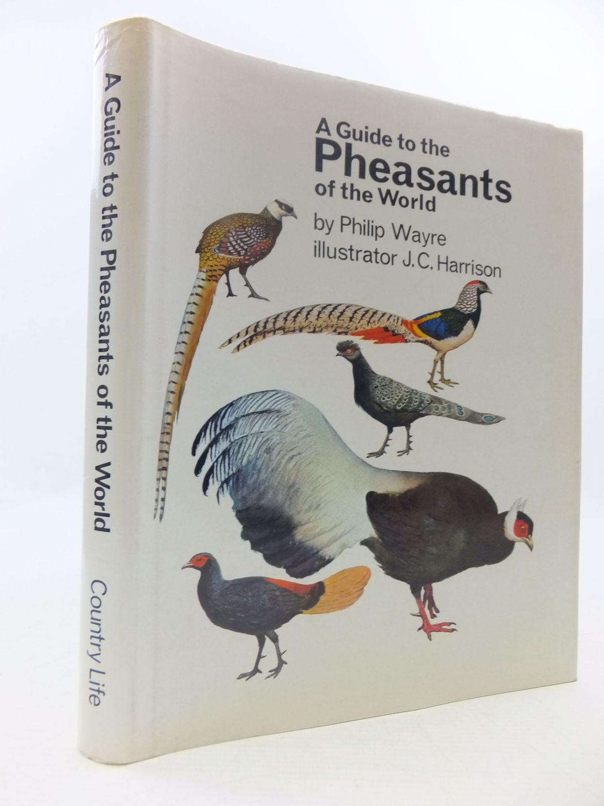 Stella & Rose's Books