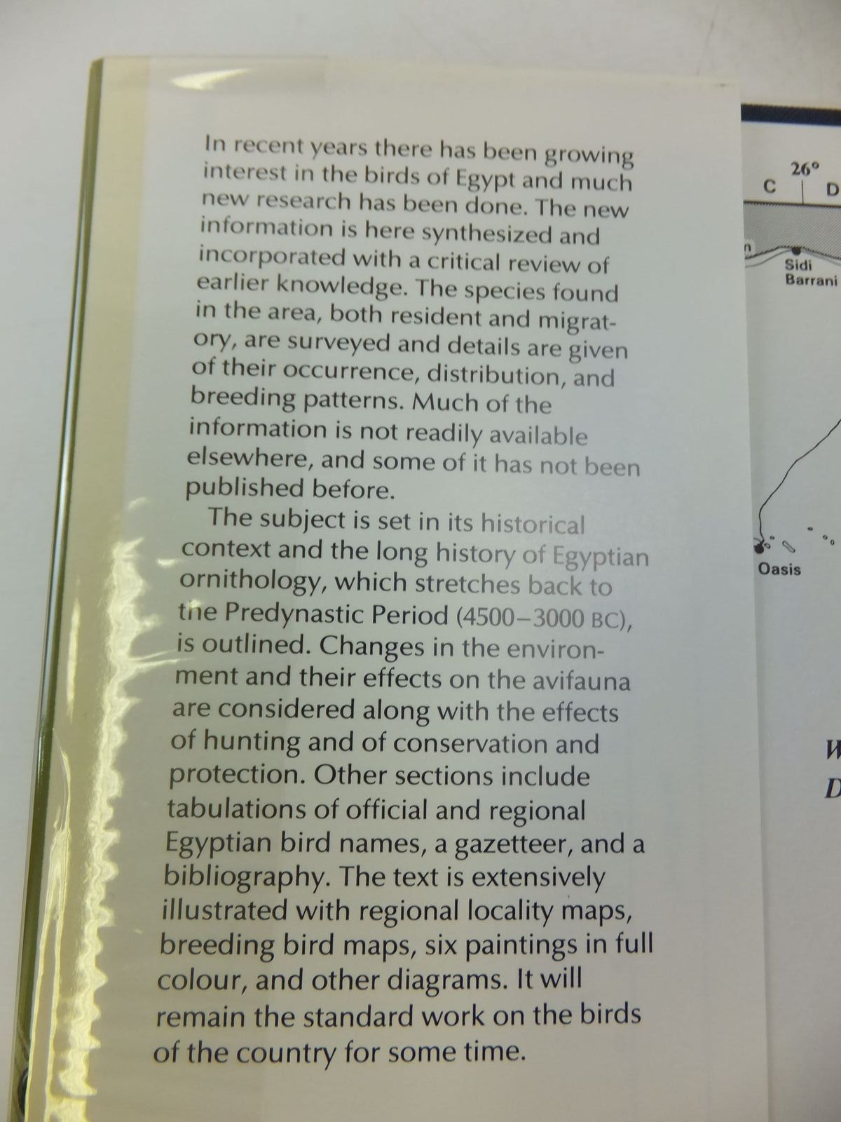 Stella & Rose's Books