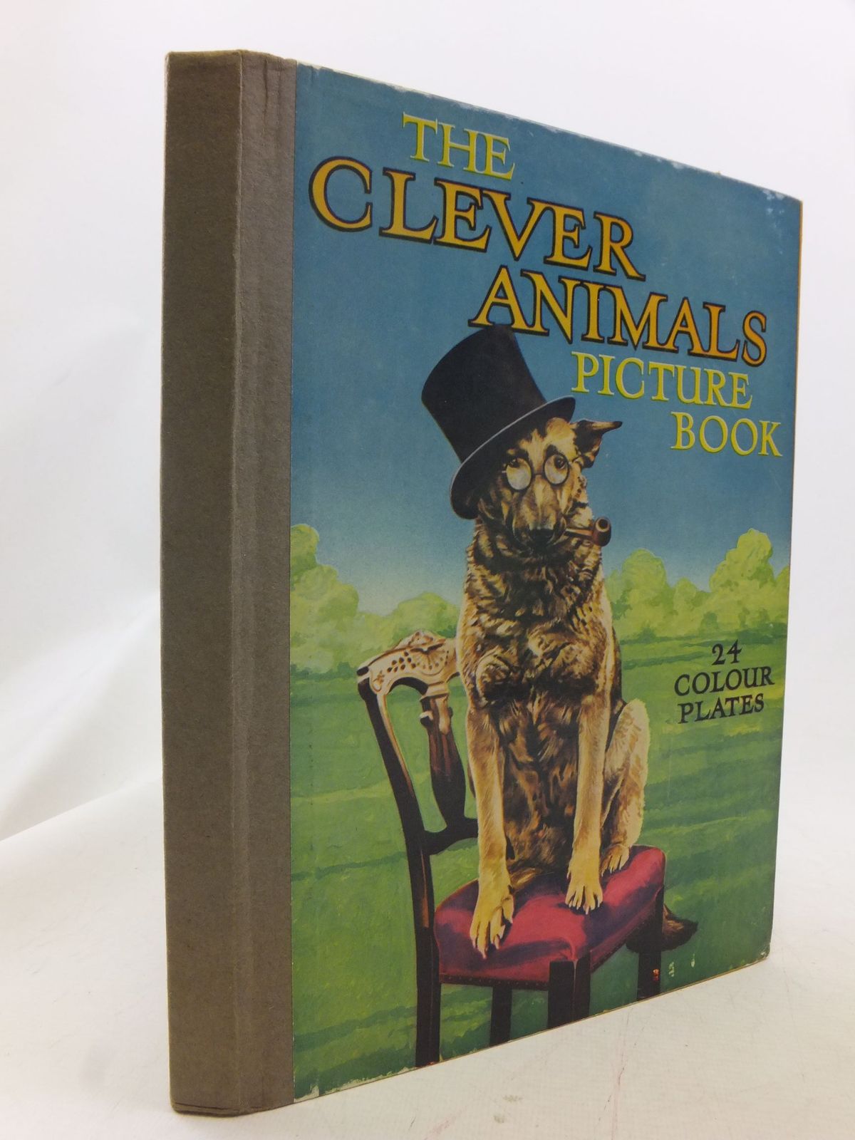 Stella & Rose's Books