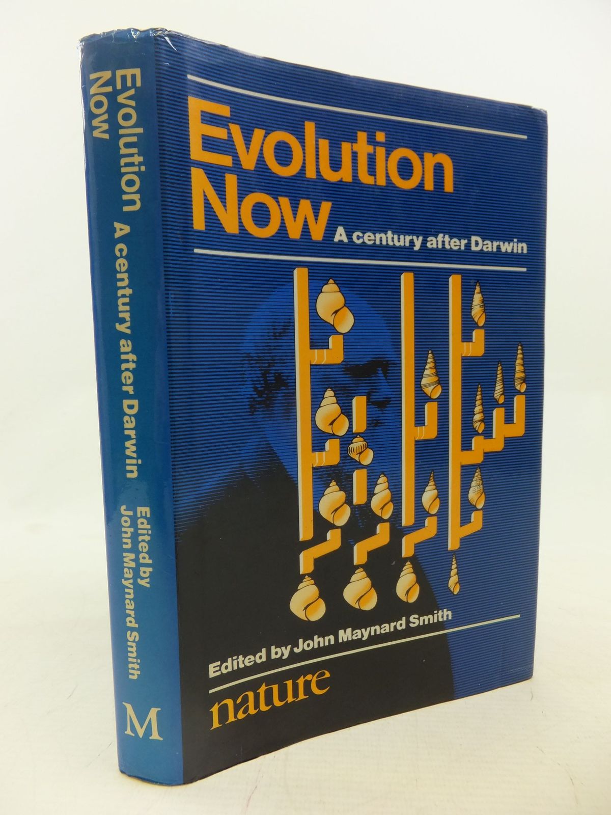 Stella & Rose's Books