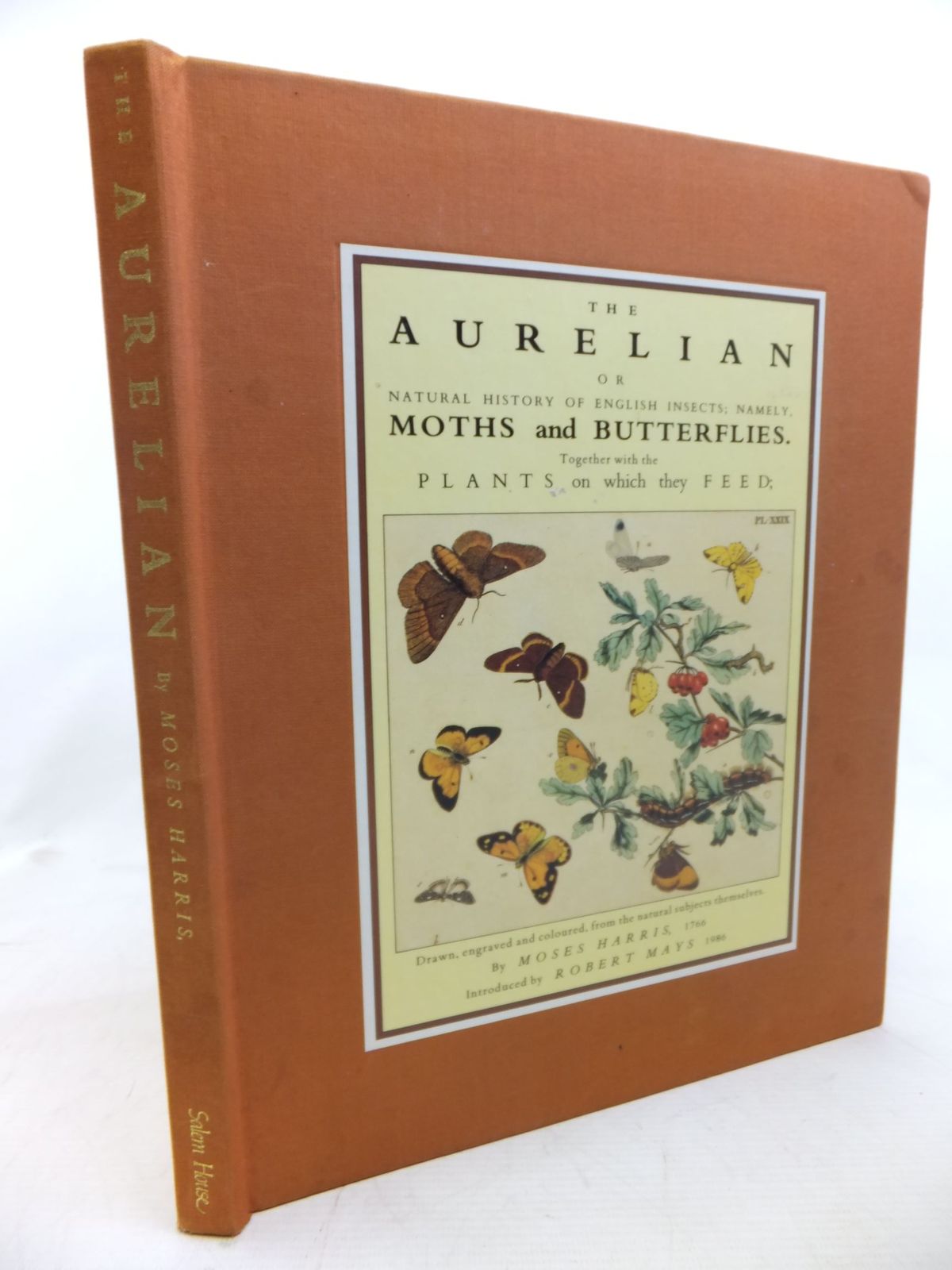 Stella & Rose's Books