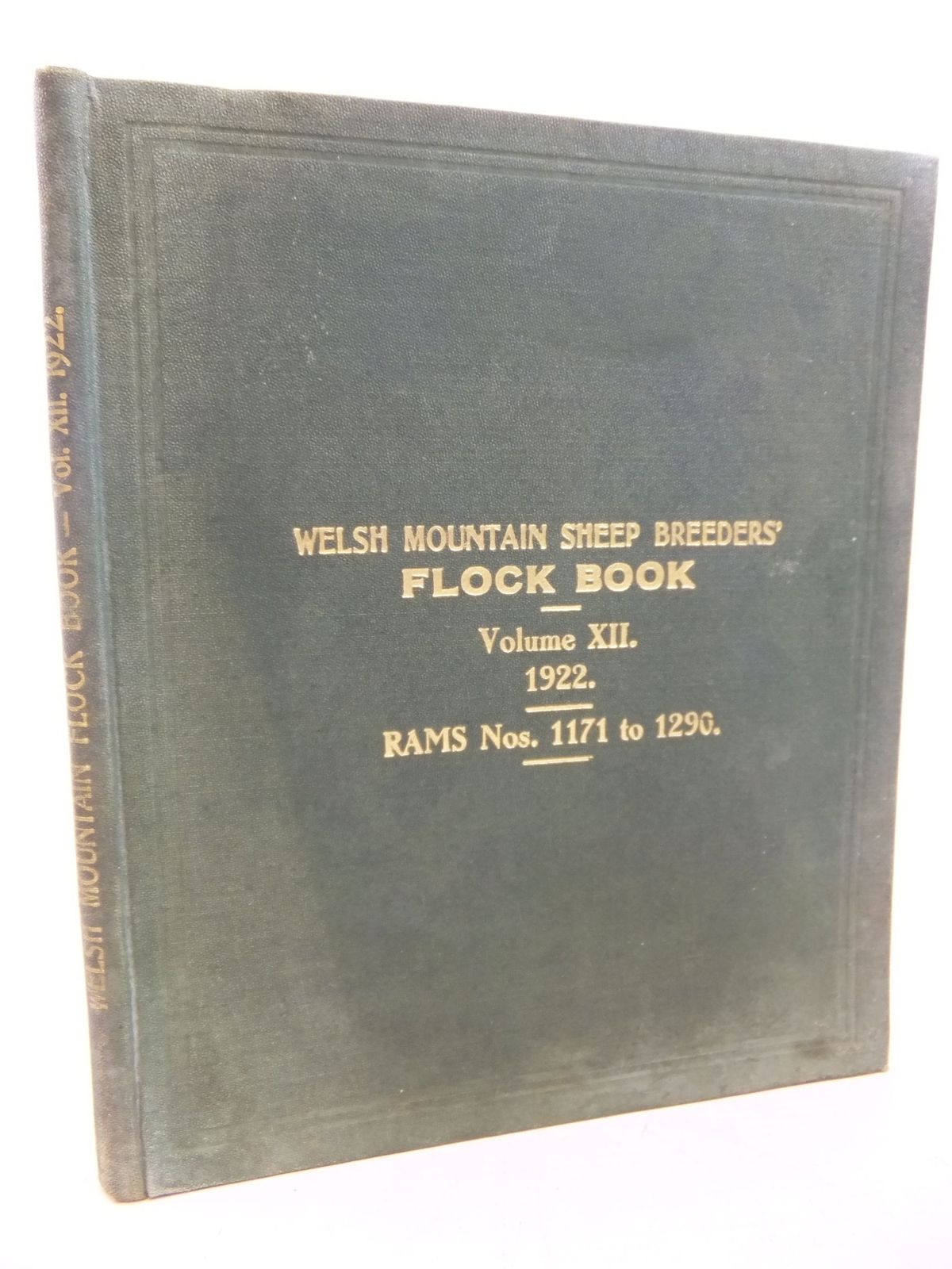 Stella & Rose's Books